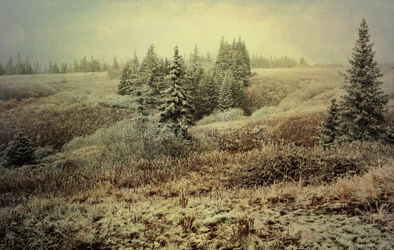 First Snow stock image. Image of natural, snow, nature - 27177299