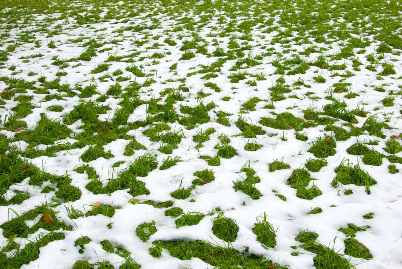 First snow stock photo. Image of weather, field, winter - 3406486