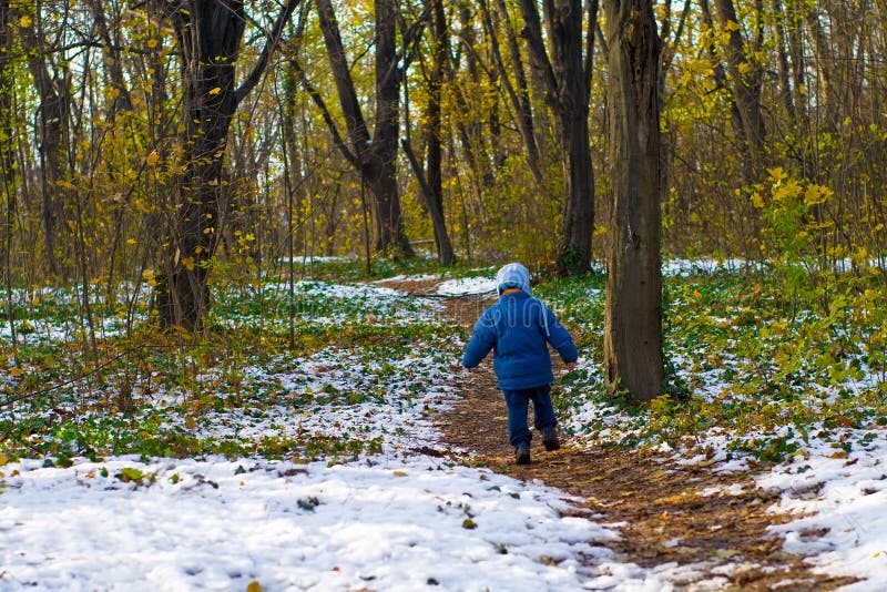 First Snow stock photo. Image of autumn, bench, leaves - 7257888
