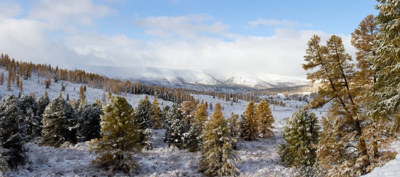 First snow in the autumn stock photo. Image of sunlight - 11084508