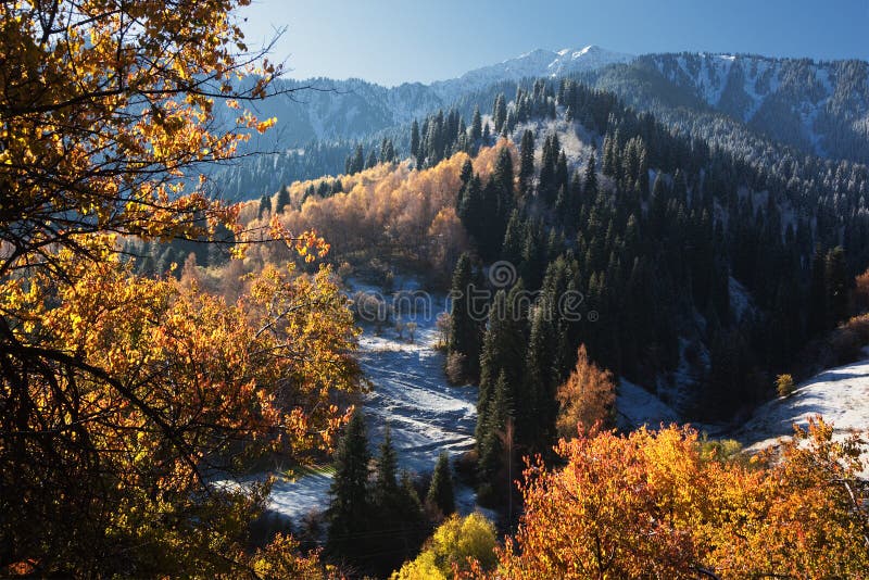 First Snow in Autumn Mountains Stock Image - Image of outdoors, orange ...