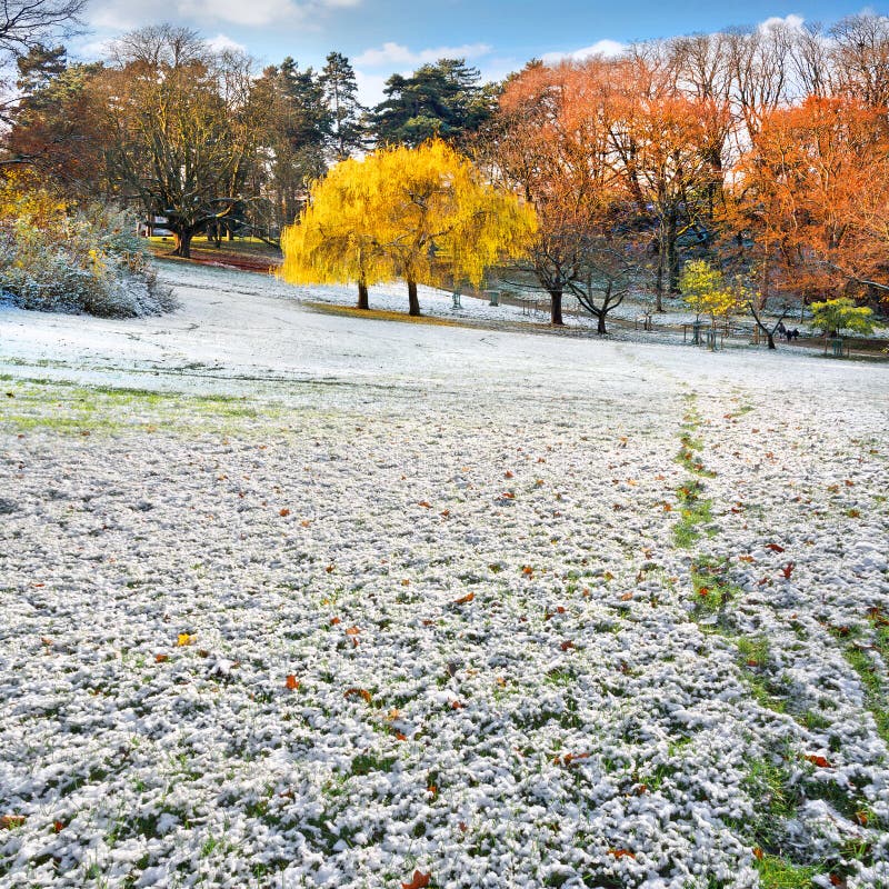 The First Snow in the Autumn Park. Stock Photo - Image of fall, nature ...