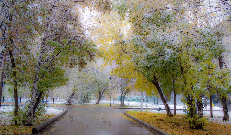 First Snow in Autumn Park, Soft Photo Stock Image - Image of natural ...