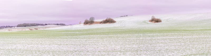 First Snow on Crop Fields in Daylight Stock Photo - Image of dusky ...