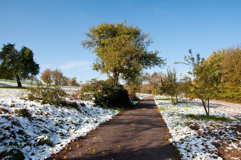 First snow in early winter stock image. Image of leaves - 34471379