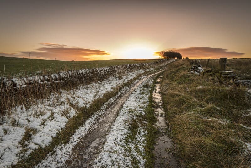 First Snow Fall stock image. Image of season, foliage - 66509039