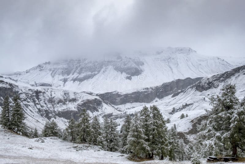 First snow fall season stock photo. Image of hill, conditions - 198511976