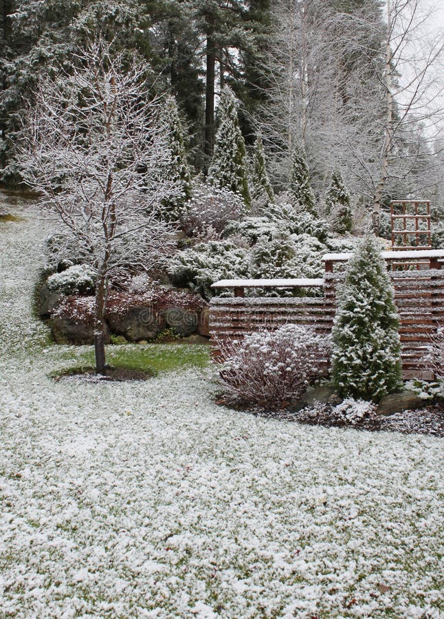 Winter, Snowfall in the Garden. Snow-covered Garden. Stock Photo ...