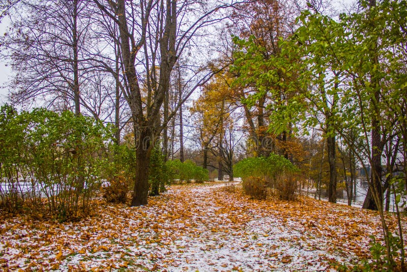 Snow in October in the Park Stock Photo - Image of snow, white: 103130172
