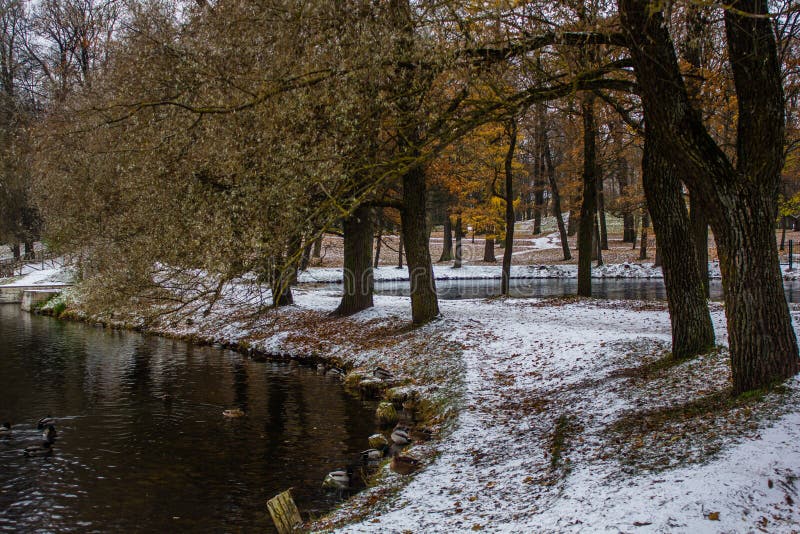 Snow in October in the Park Stock Image - Image of crystal, tree: 103129147