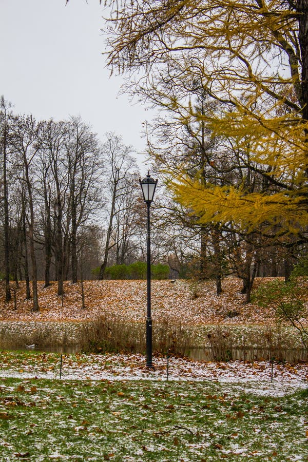 Snow in October in the Park Stock Image - Image of winter, cleanliness ...