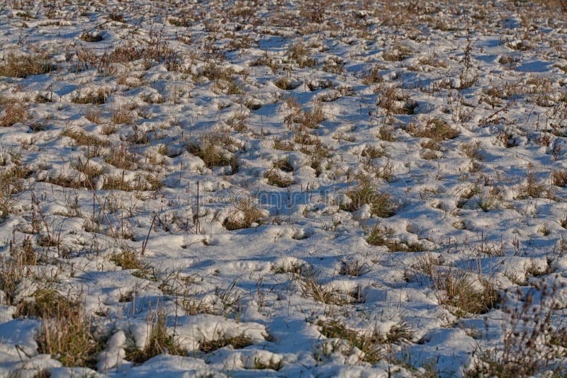 First snow on a grass stock image. Image of field, shadows - 46887243