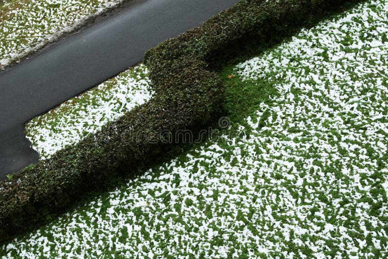 First Snow on Green Lawn and Sidewalk Stock Photo - Image of green ...