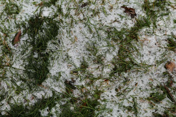 First Snow and Ice on Green Grass Stock Image - Image of green, snow ...
