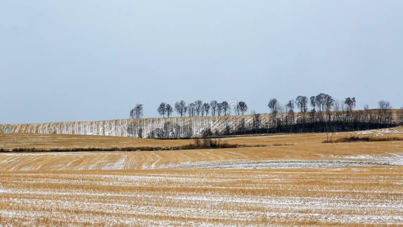 First snow stock image. Image of landscape, trees, fields - 80079525
