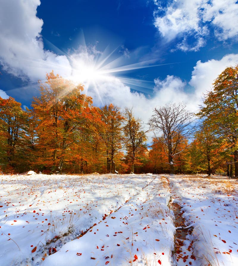 First Snow in the Mountain Forest. Stock Photo - Image of autumn ...