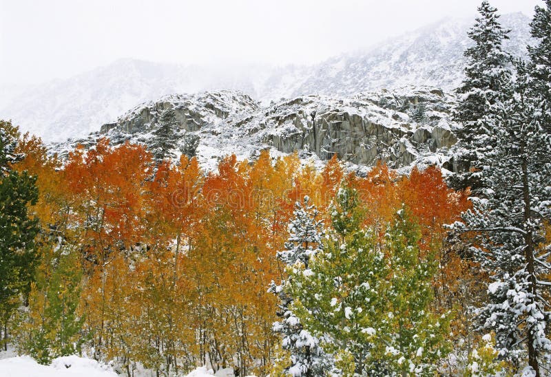 First snow stock photo. Image of estate, christmas, retreats - 21186