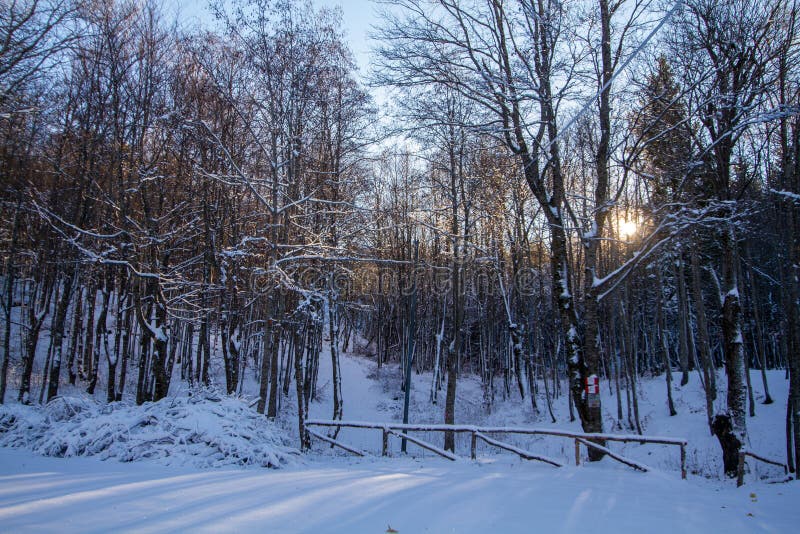 First Snow on the Mountains Early Winter Trapped by Winter Ice Stock ...