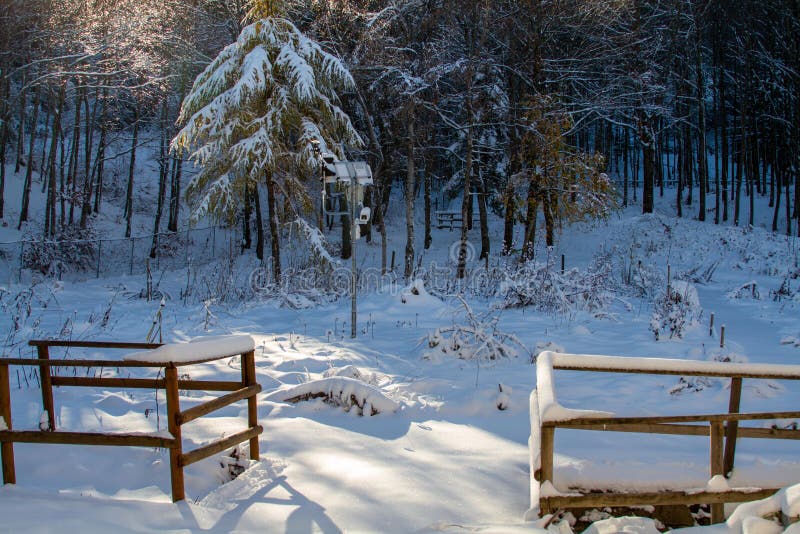 First Snow on the Mountains Early Winter Trapped by Winter Ice Stock ...