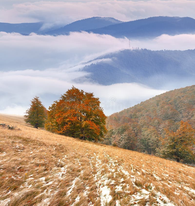 First Snow in the Mountains Stock Photo - Image of hill, mist: 34141112