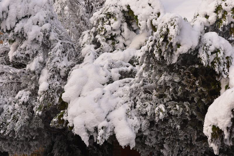 The first snow at my home stock image. Image of decorative - 135121779