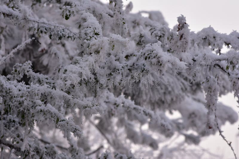 The first snow at my home stock image. Image of year - 135000237