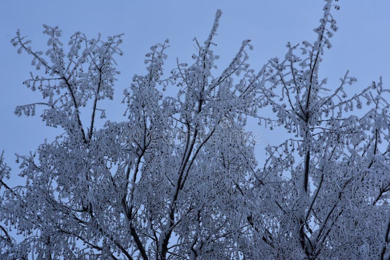 The first snow at my home stock photo. Image of glowing - 135003862