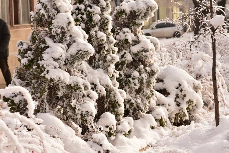 The first snow at my home stock image. Image of year - 135002705