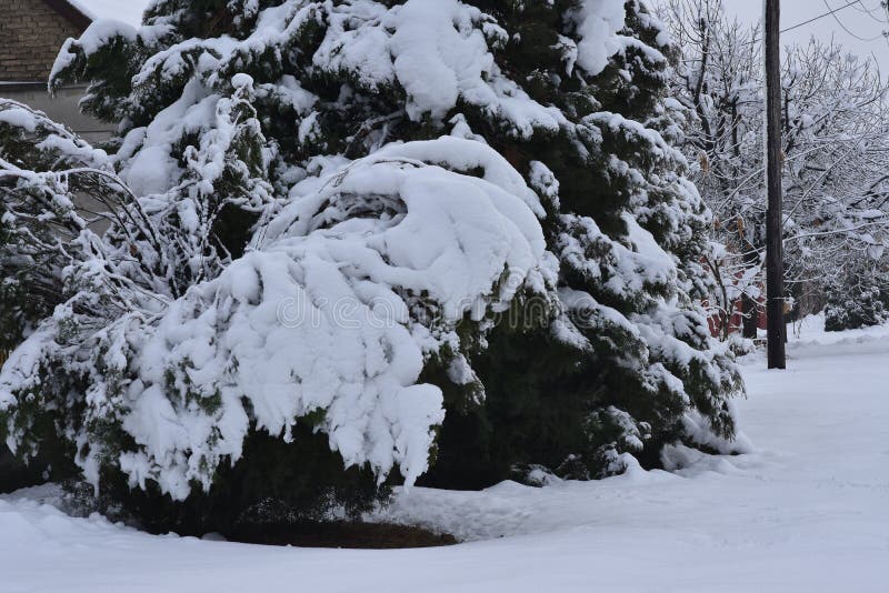 The first snow at my home stock image. Image of decorative - 134526029