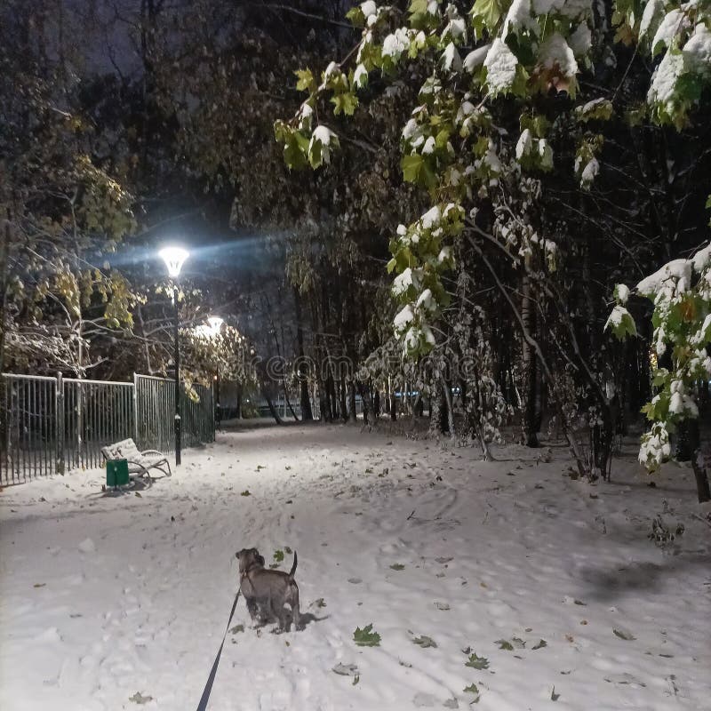Snow in October Near Desert View Watchtower at Grand Canyon, Arizona ...