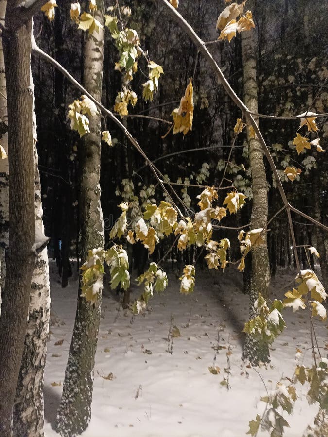 Snow in October Near Desert View Watchtower at Grand Canyon, Arizona ...