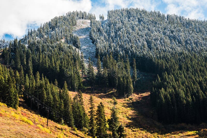 First Snow Snowline at Stevens Pass, Washington State Stock Photo ...