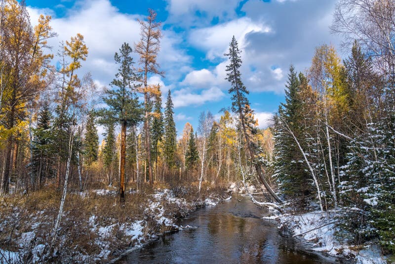 First Snow in the Siberian Taiga Stock Photo - Image of wood, october ...