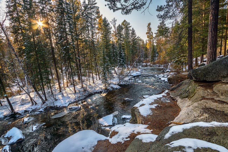 First Snow in the Siberian Taiga Stock Photo - Image of wood, october ...