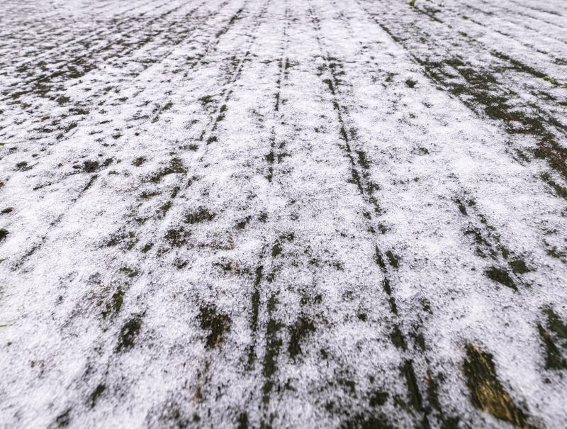 The first snow of winter stock photo. Image of winter - 208417906