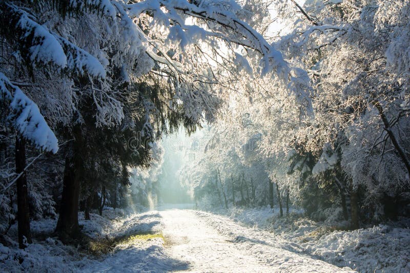 The First Snow in the Winter Stock Image - Image of idyllic, blue: 48274887