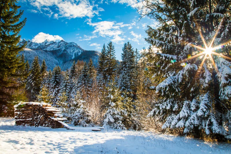 First snow at the mountain stock image. Image of landscape - 104107407