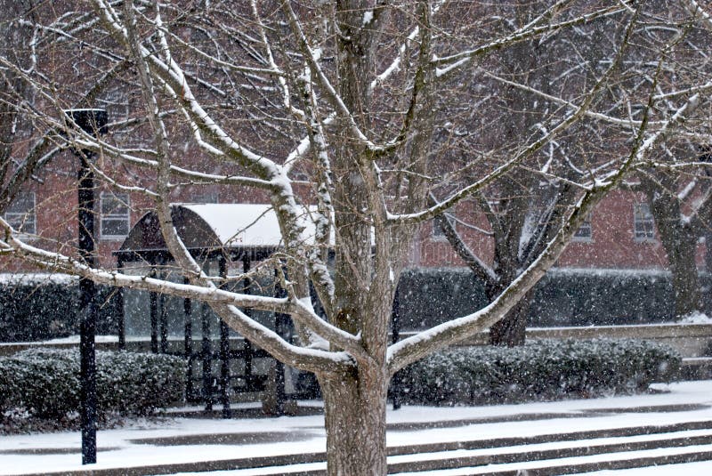 First snowfall stock image. Image of snowfall, chilly - 6417401