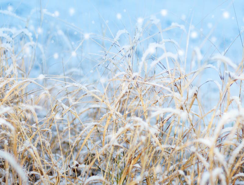 First snowfall impression stock image. Image of snowfall - 22695335