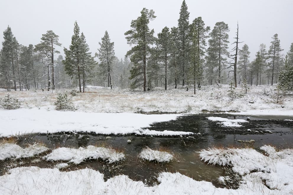 First snowfall in October stock image. Image of outdoors - 293693037