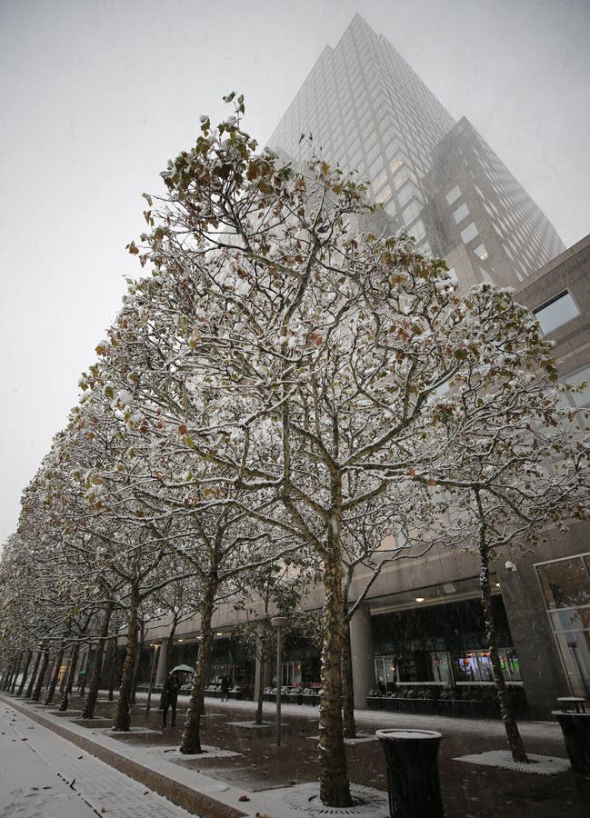 First Snowfall of the Season in Manhattan Stock Image - Image of dawn ...