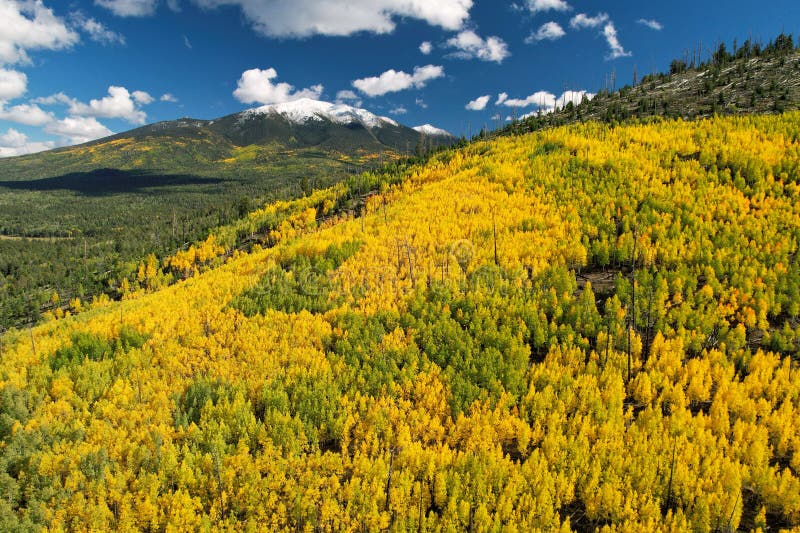 First Snowfall of the Season on the San Francisco Peaks, Arizona Stock ...
