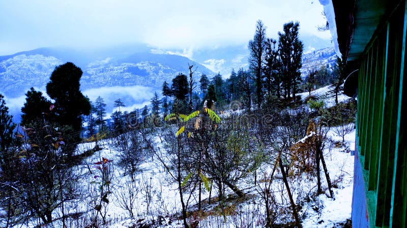 First Snowfall in Shimla Himachal Pradesh Stock Image - Image of shimla ...