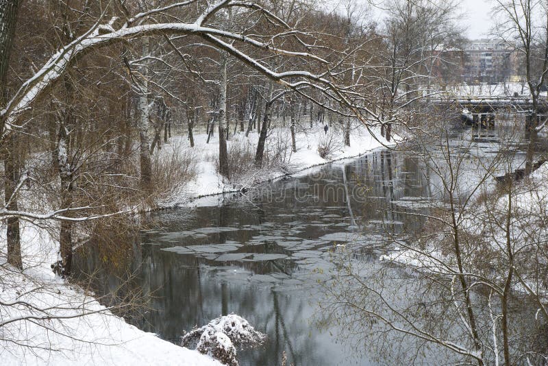 The first snow. stock photo. Image of color, fencing - 261793272