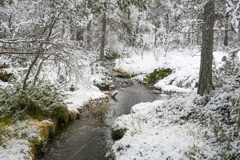 First snowfall stock image. Image of cold, frozen, winter - 162673195