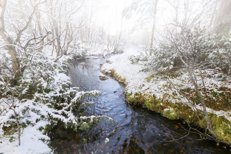 First snowfall stock image. Image of nature, inna, trees - 162673095