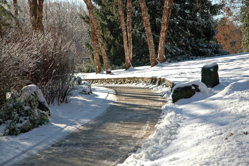 First Snowfall Of The Winter Stock Image - Image of december, bush: 861709