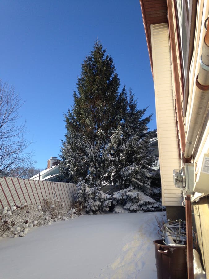 First snowstorm stock image. Image of snow, snowstorm - 65695337