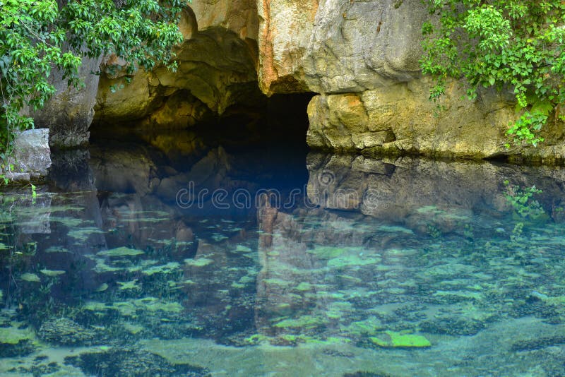 Pure water from the source stock image. Image of health - 71976089