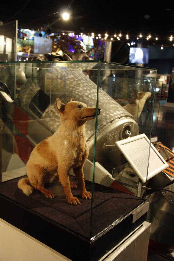 The First space dog editorial image. Image of discovery - 24317175